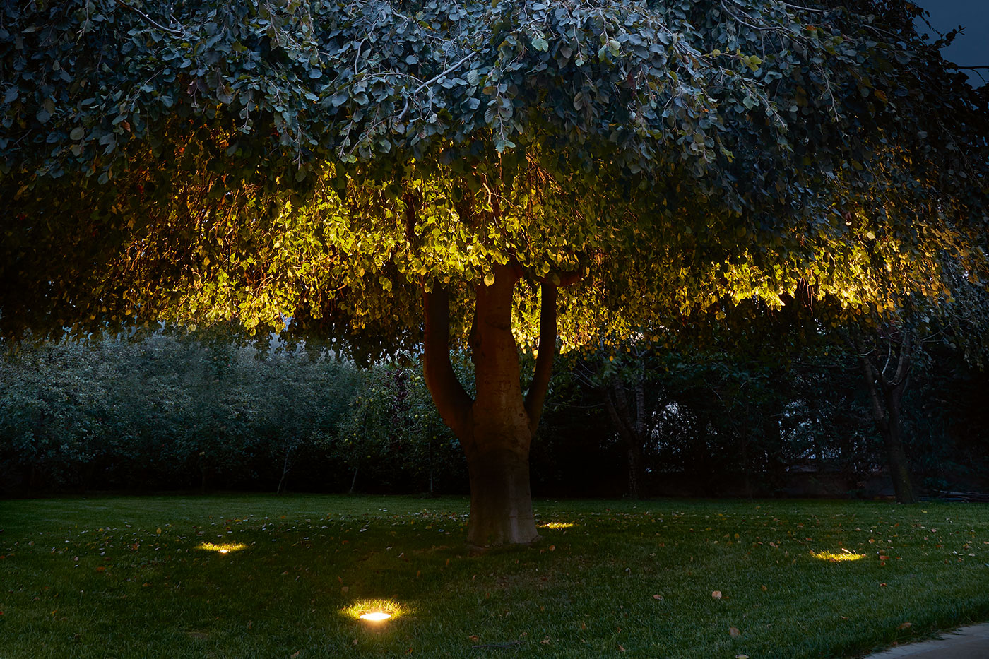 Architectural LED lighting Made in Italy | L&L Luce&Light